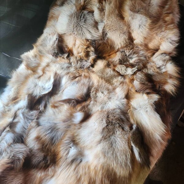 Raccoon Pelt Fur, American Raccoon Pelt Fur , Tanned Raccoon Fur ...