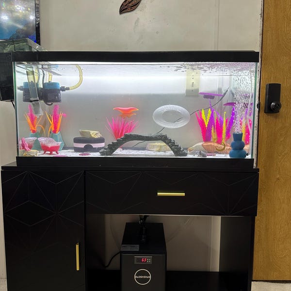 High Detail Human Skull Container - Goth Storage Solution - Skull Box ...