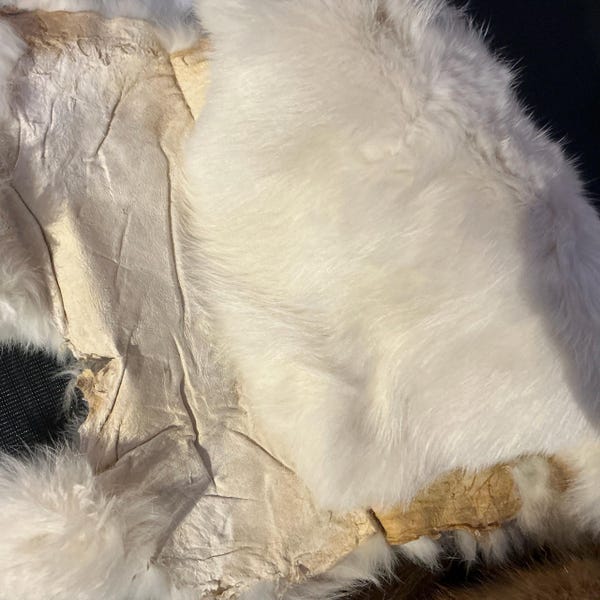 Vintage Blue Fox Pelt Stole With Chin Clip 1940s 1950s 1960s Real ...