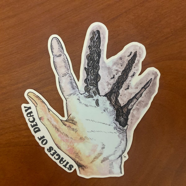 Stages of Decay Hand Sticker : Vinyl Decal - Hand Drawn - Forensic ...