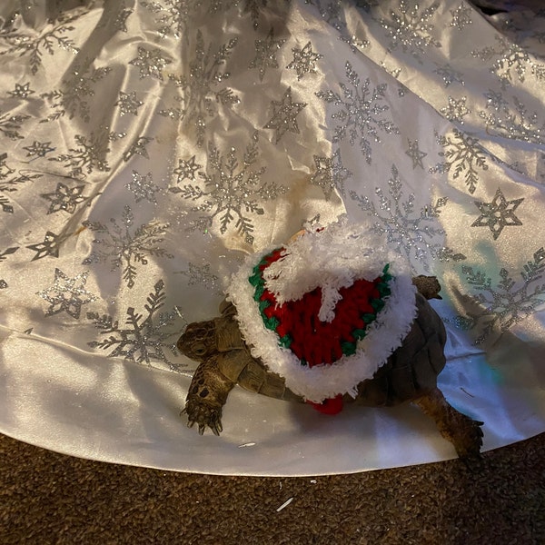 Tortoise/turtle Sweater, Pet Jacket, Pet Costume, Pet Sweater, Cozy ...