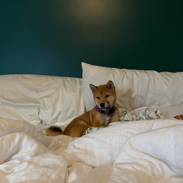 Comfy Baby Shiba Inu Poster,couple Illustration Modern Sumi-e Painting ...