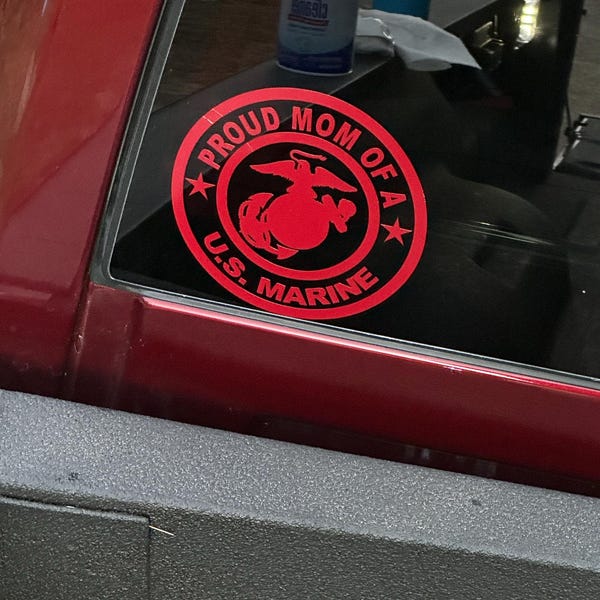 The Only Path Forward is Resistance Vinyl Decal Patriotic Car Window ...