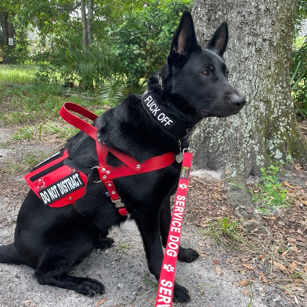 Patch Collar, Hook and Loop, Tactical Collar, Search and Rescue, Do Not ...