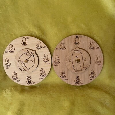 CEPHALIC Bamboo Midwifery Fetal Position Tool for Midwives, Student ...