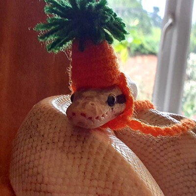 Tiny Reptile Hat, Hat for Hamster, Small Lizard Hat, Clothes for Pets ...