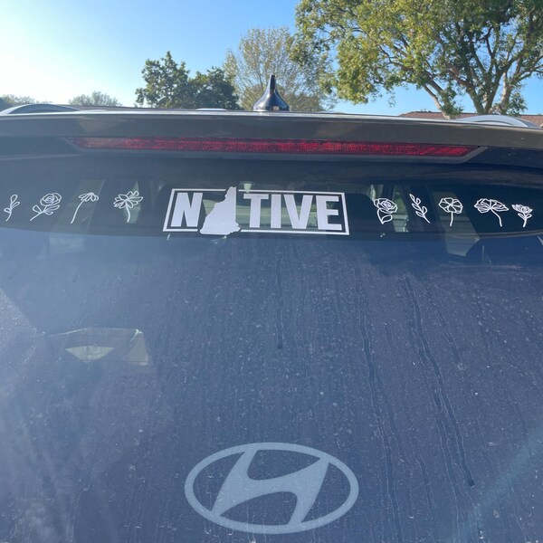 Arizona Outline Decal, Arizona Decal, Arizona Sticker, AZ Vinyl Decals ...