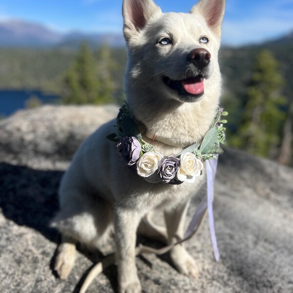 Burnt Orange Dog Collar Wreath, Rust Dog Bouquet, Fall Dog Flower ...