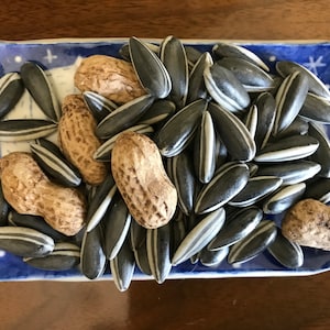 Ai Weiwei Porcelain Sunflower Seeds LONDON TATE MODERN 50 Pcs - Etsy