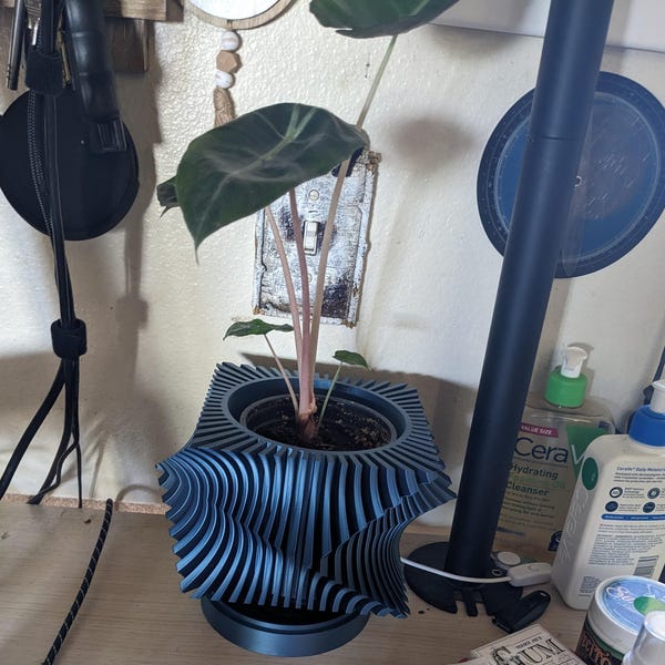 A “ANIO” 3D Custom Printed Wacky Planter Pot | Modern Home Office Decor ...