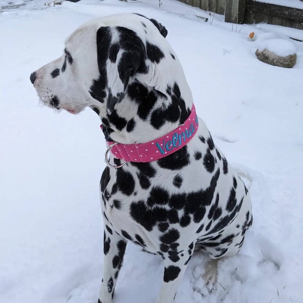 Fall Collar, Embroidered Dog Collar, Personalized Dog Collar, Geometric ...