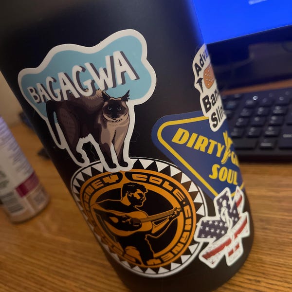 Merv the Cat Vinyl Sticker 2-pack / Mervthecat / Cat Sticker / Funny ...