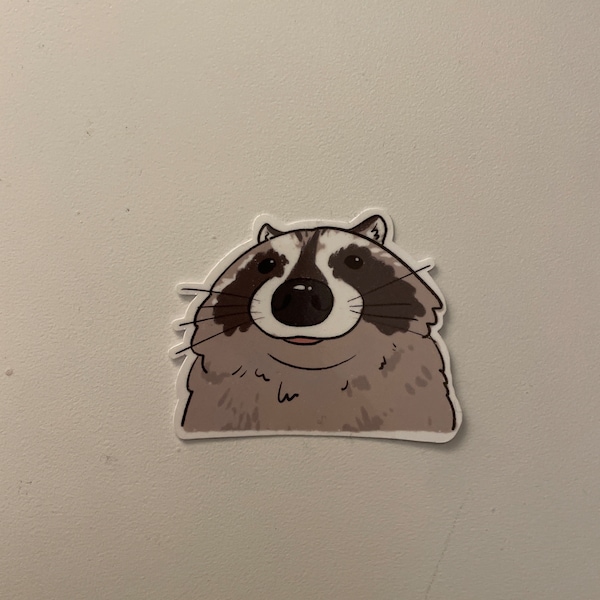 Raccoon Close up | Funny Sticker | Raccoon Sticker | Gifts Under 10 ...