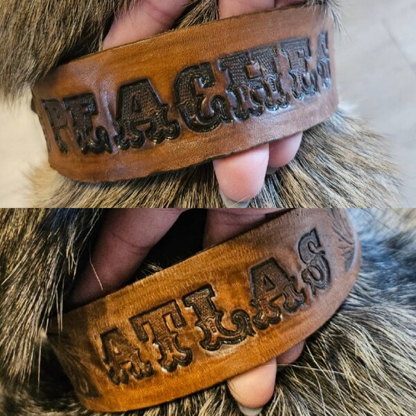 Leather Dog Collar: Design Your Own Personalized Dog Collar With Your ...