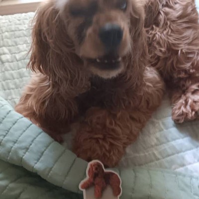 Thank You Mailbox Decal-new, Mailman Sticker, Mailman Gift, Mailbox ...