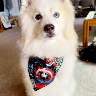 Baby Sharks Reversible Snap-on Dog Bandana - Etsy