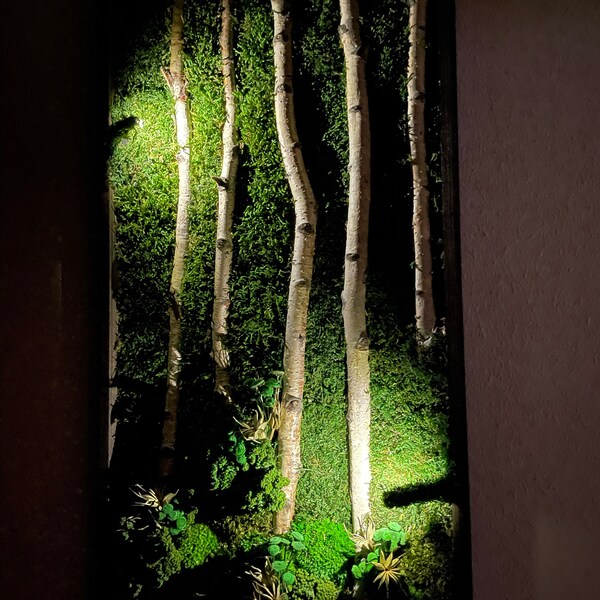 Delightful LED Lights Preserved Moss Wall Art Live Moss LED Home Décor ...