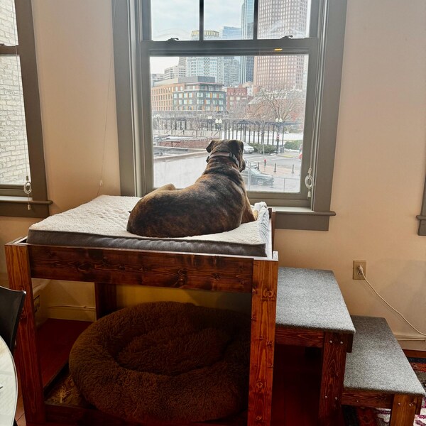 Wood Dog Bed Platform Unfinished to Hold Your Own Mattress, Style: the ...