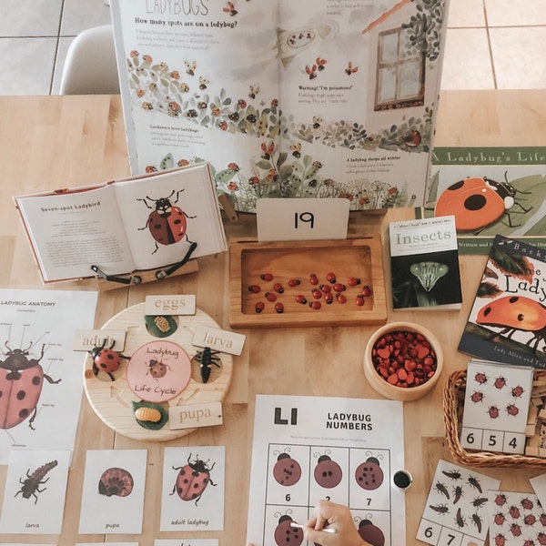 Ladybug Anatomy & Life Cycle for Kids: Montessori Cards (editable PDF ...