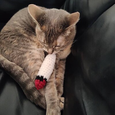 Catnip Doobie, Cat Doobie, Joint, Blunt, Spliff, PATTERN for Catnip ...