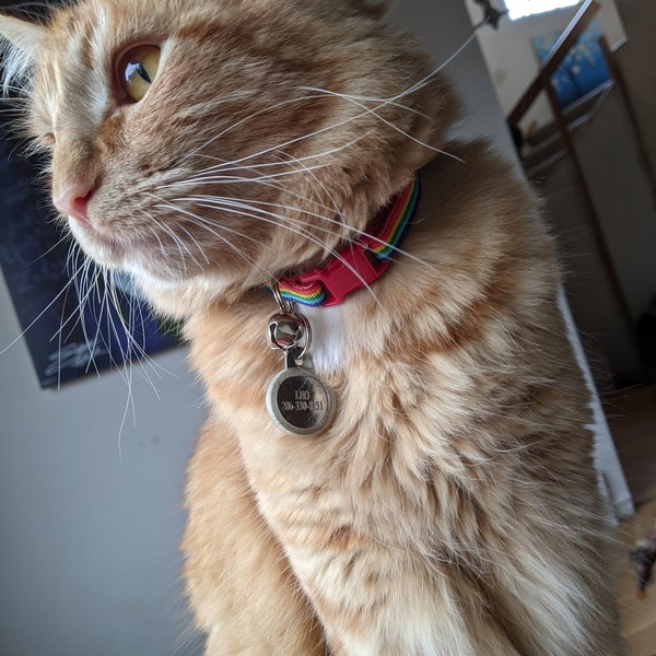 Rainbow Cat Collar - Handmade Cat Collar, Love is Love, Pride Cat ...