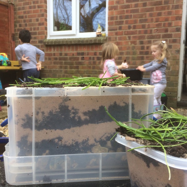 Anatomy of a Worm and Wormery Activity With Record | Charlotte Mason ...