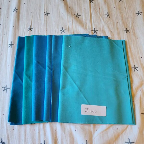 Booklet Pouch Pattern and Kit Options by Aneela Hooey With Moon Garden ...