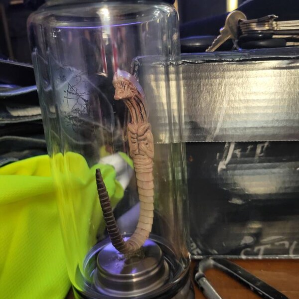 1:6 Scale Alien Egg Facehugger Embryo Xenomorph Egg 1/6 Scale Display ...