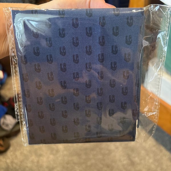 Homemade Main Sage (c13720-sage) by Echo Park Paper Co. for Riley Blake ...