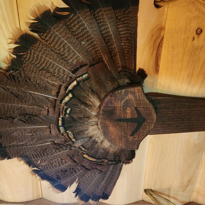 Classic Turkey Fan Mount - Etsy