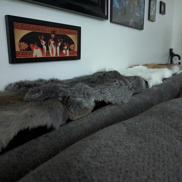 Assorted Natural Color Rabbit Fur Pelts - Craft Grade 5pk Assorted! - Etsy