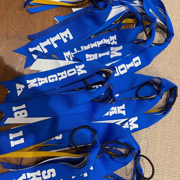 BLUEY Inspired Graduation Lei, Ribbon Lei, Custom Lei, Made to Order ...