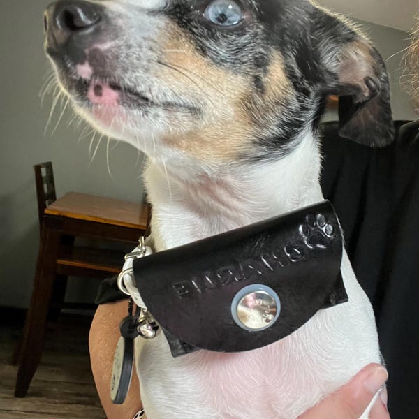 Dog Tag Collar Pouch / Brown Leather Pet Tag Silencer - Etsy