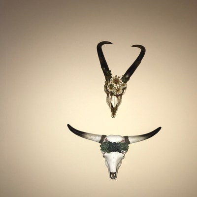 Skull, Decorative Skull, Taxidermy, Skull Decor, Boho Decor, Painted ...