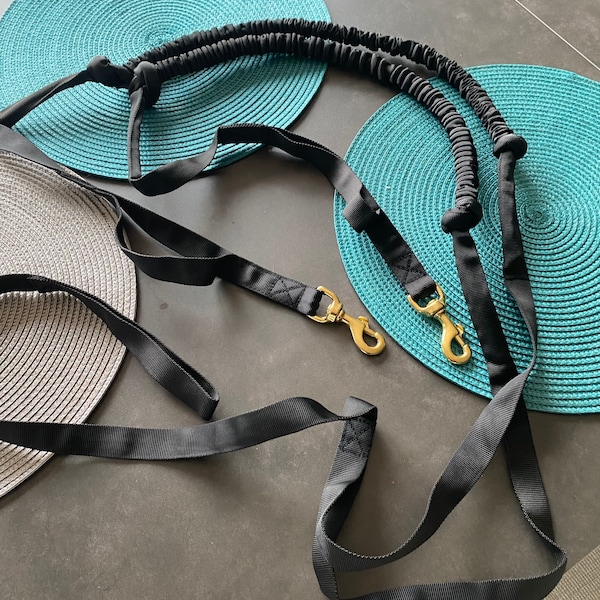 Bikejoring Tow Line Bungee Shock Absorber for Dog Lead for Two Dogs - Etsy