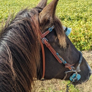 Complete Teal Bosal Bitless Bridle Set Rawhide Bisal and Teal - Etsy