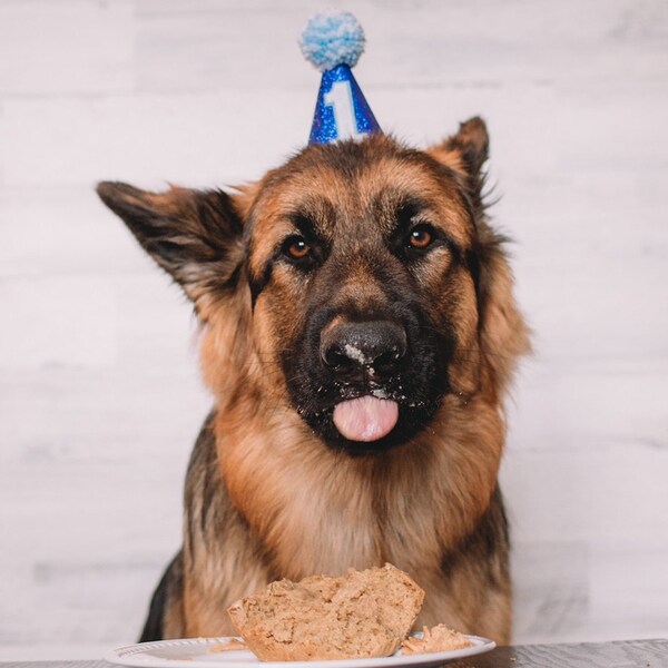 1st Birthday Hat- Boy First Birthday Hat - Mini Blue Party Hat - Boy ...