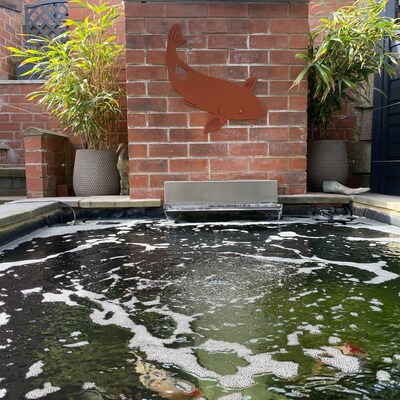 Japanese Koi Carp, Japanese Koi Art for Walls, Koi Fish Art, Garden and ...