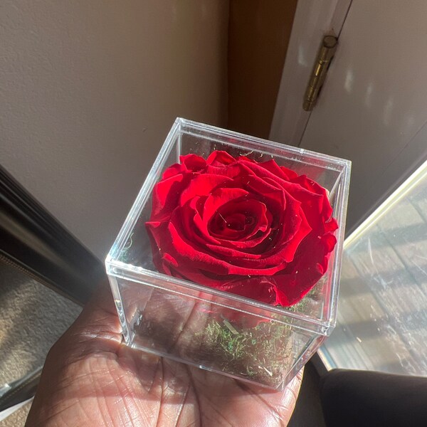 Wholesale XL Roseamor Ecuadorian Preserved Roses, High Quality PACK OF ...