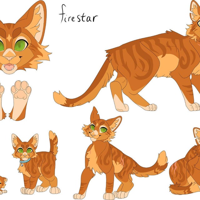 Easy Warrior Cat Drawings