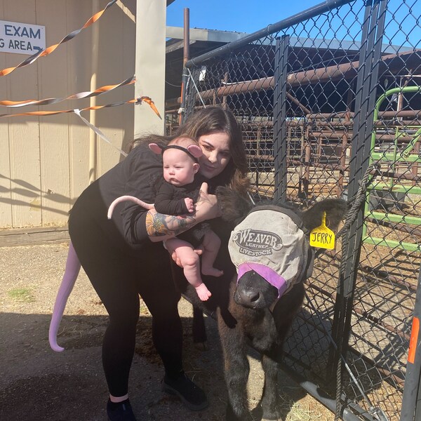 Clip on Mouse Tail Made of Pink Felt Suitable for Children and Adults ...