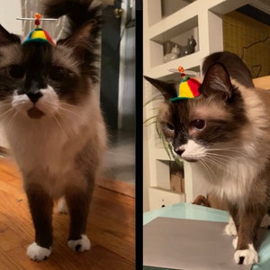 Beanie Hat / Propeller Helicopter Hat for Cat Dog Small Pet - Etsy