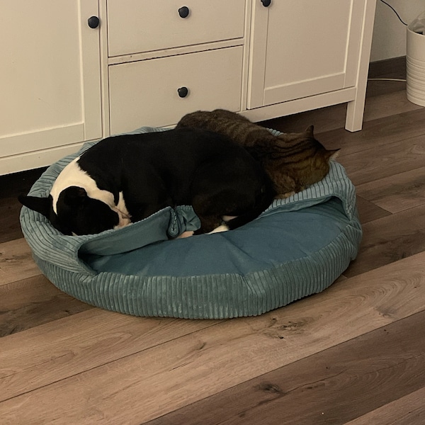 Emerald Green Dog Cave Bed, Warm Covered Dog Bed, Whippet Bed, Cave Pet ...