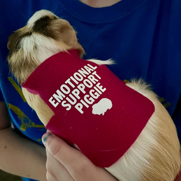 Rat Sweater for Rat Crochet Sweater for Small Pet Sweater for Fancy Rat ...