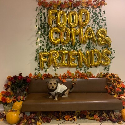 Food Coma Friends Balloons Friendsgiving Decor Thanksgiving ...