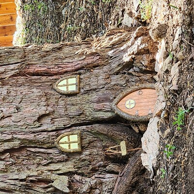 Fairy Door and Windows for Trees Glow in the Dark Fairy Tree Door Fairy ...