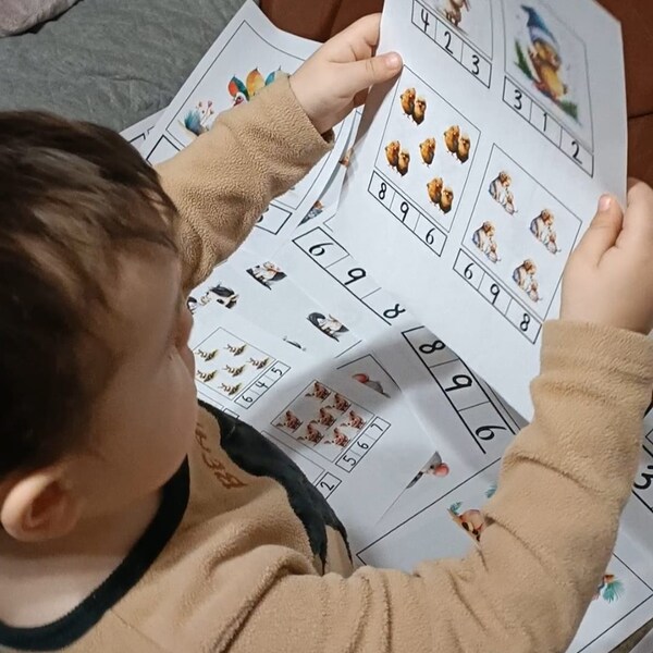 OWLS Unit Study, Life Cycle, Anatomy, Nature Study, Science, Homeschool ...