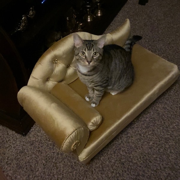 Cat Sofa, Dog Sofa, Lounge Chaise Dog, Cat Bed, Dog Bed, Dog Couch ...