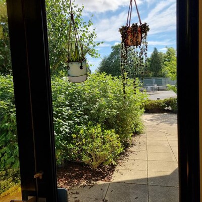 Illustrated Hanging Plants Window Stickers Reusable No Adhesive Double ...