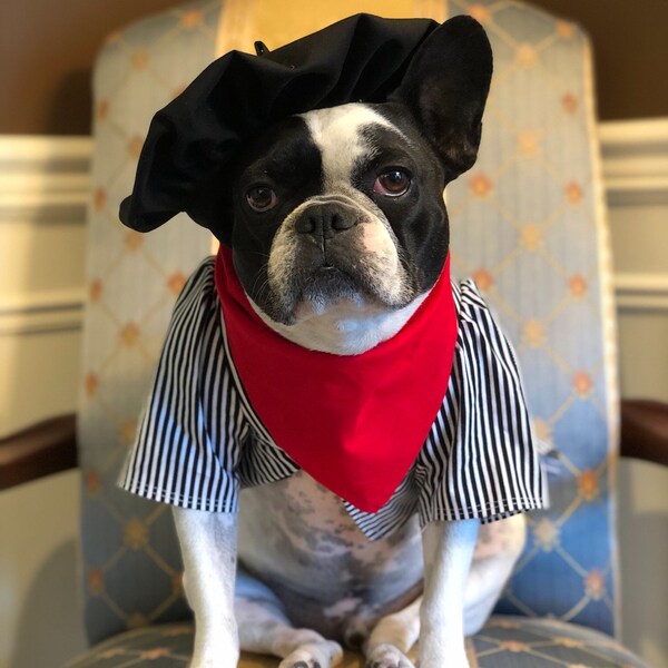 The Frenchman Cute Halloween Dog Costume Size Xxs-xlarge (small/medium ...